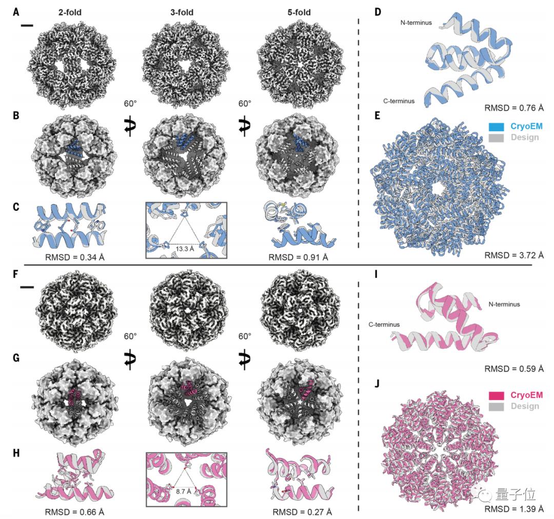 AI's new method of protein design is published in Science! Using ...