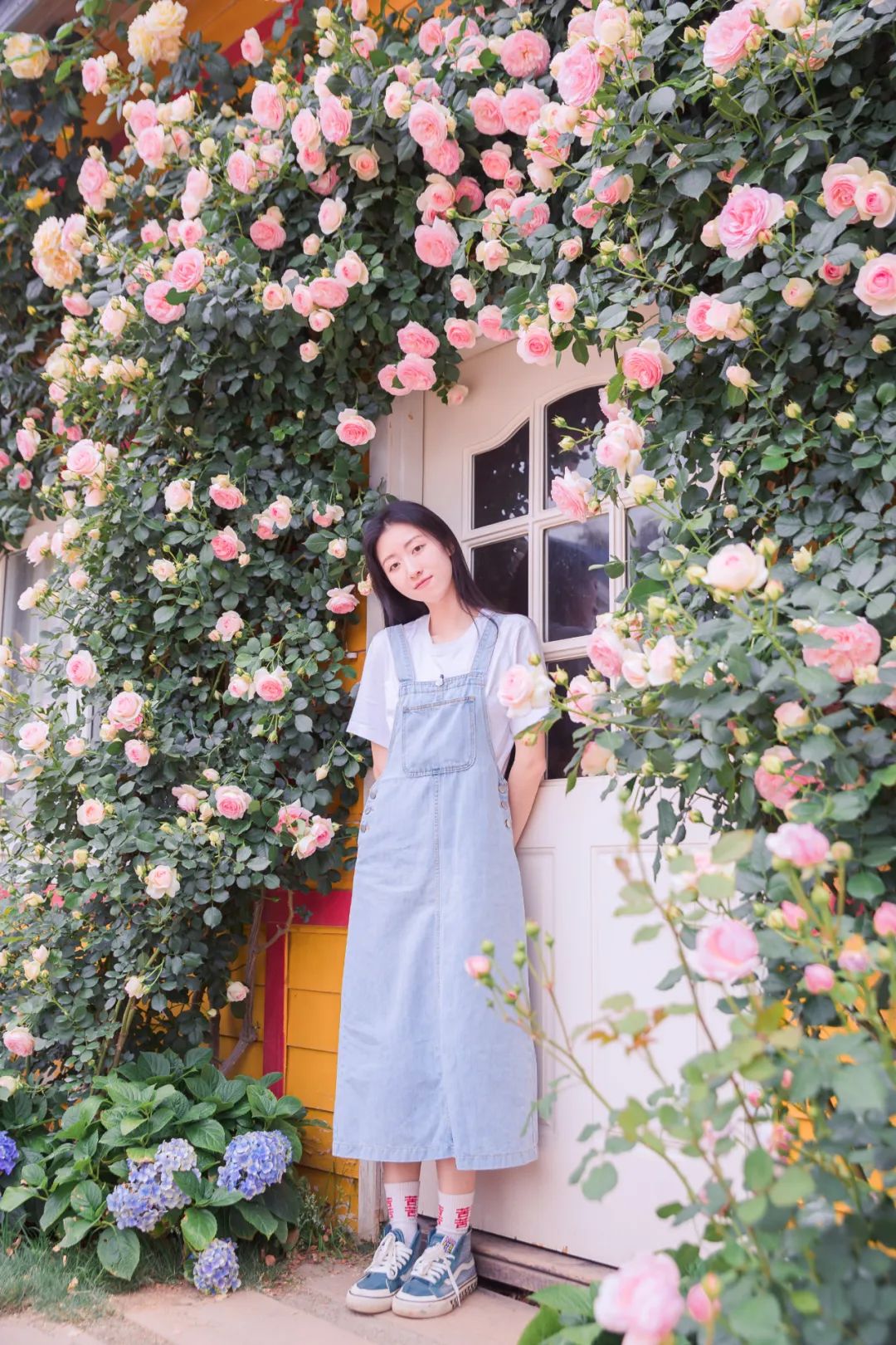 The most beautiful flower sea in Chengdu, millions of roses bloom - iNEWS