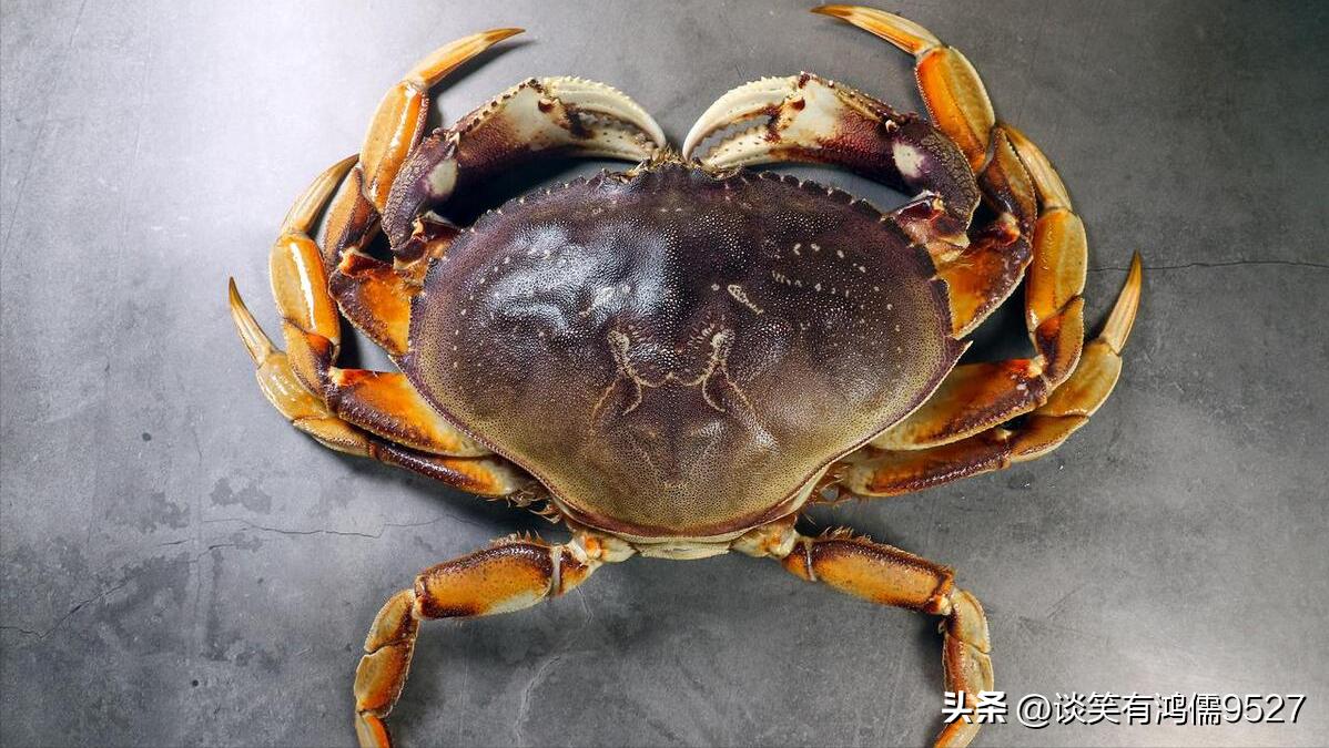 Historical Interpretation: The first person to eat crabs - iNEWS