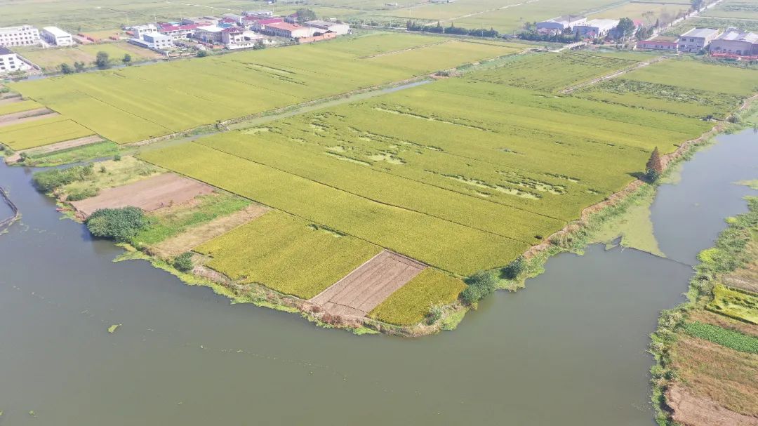 "Dongtai Memory" Kaizhuang Site - iMedia