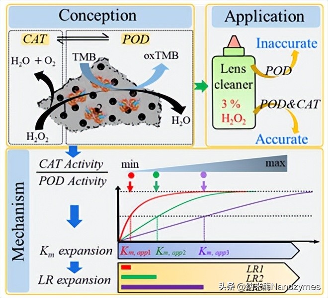 Enzyme reaction system based on CAT and POD in series to improve the ...