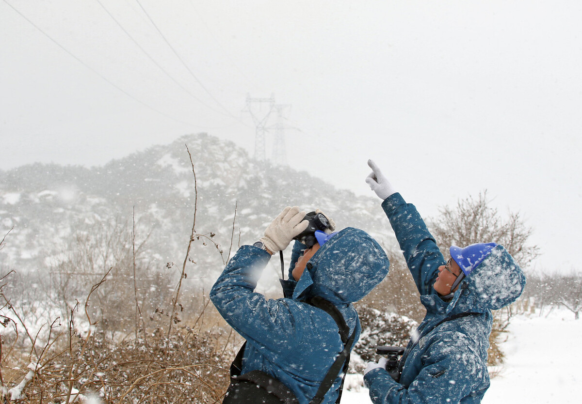 It's just the number nine, and the rural proverb "first nine fluttering snowflakes, nine nines ...