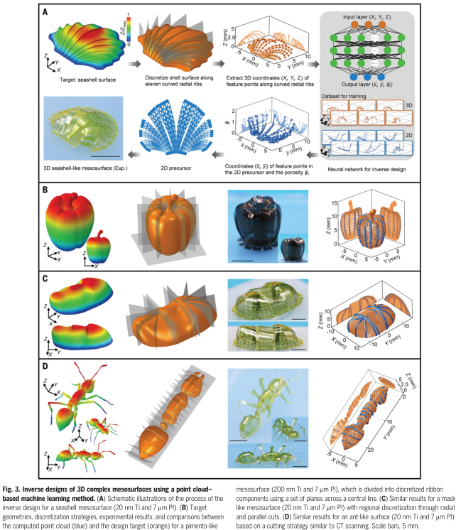 Programming 3D Curved Interface Using Micro Lattice Design - iMedia
