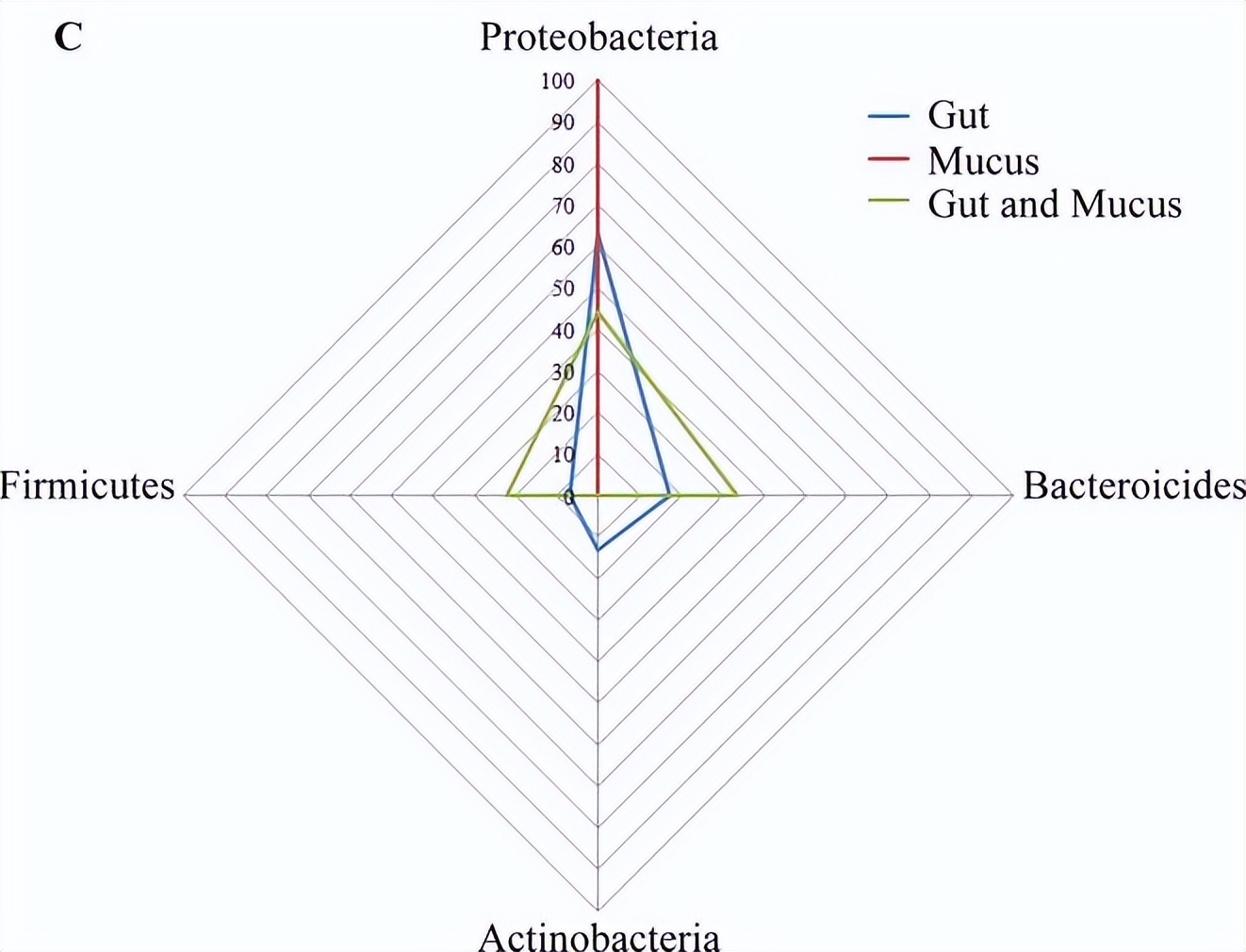 Functional characterization of the planarian microbiota, a microbial ...