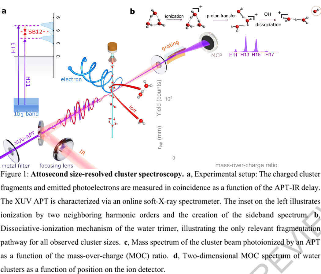 Attosecond spectroscopy of size-resolved water clusters - iNEWS