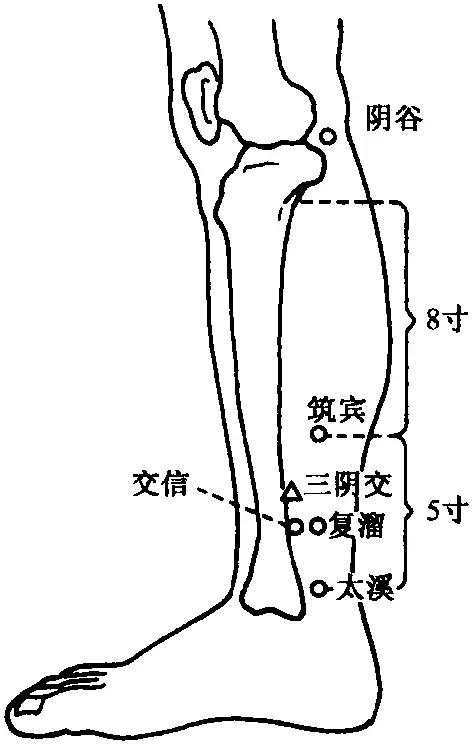 The magical Jiaoxin point, the acupuncture point that communicates and ...