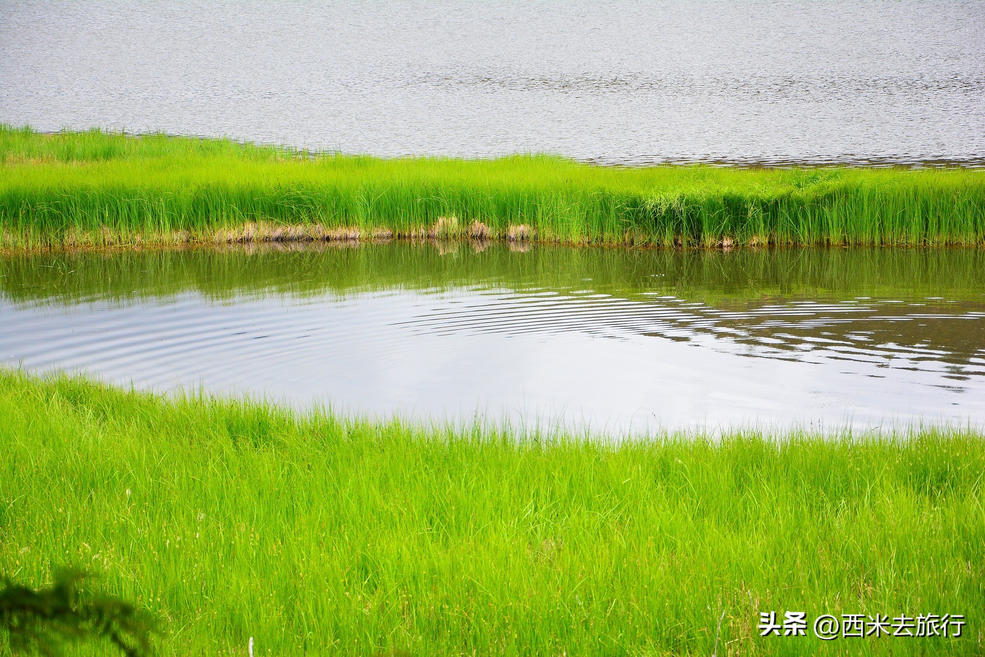 Shangri-La Pudala Park - a place where you can rediscover yourself - iNEWS