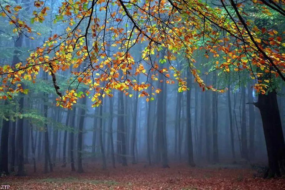 It's spectacular! 100 Landscape Films with Extreme Light and Shadow - iNEWS