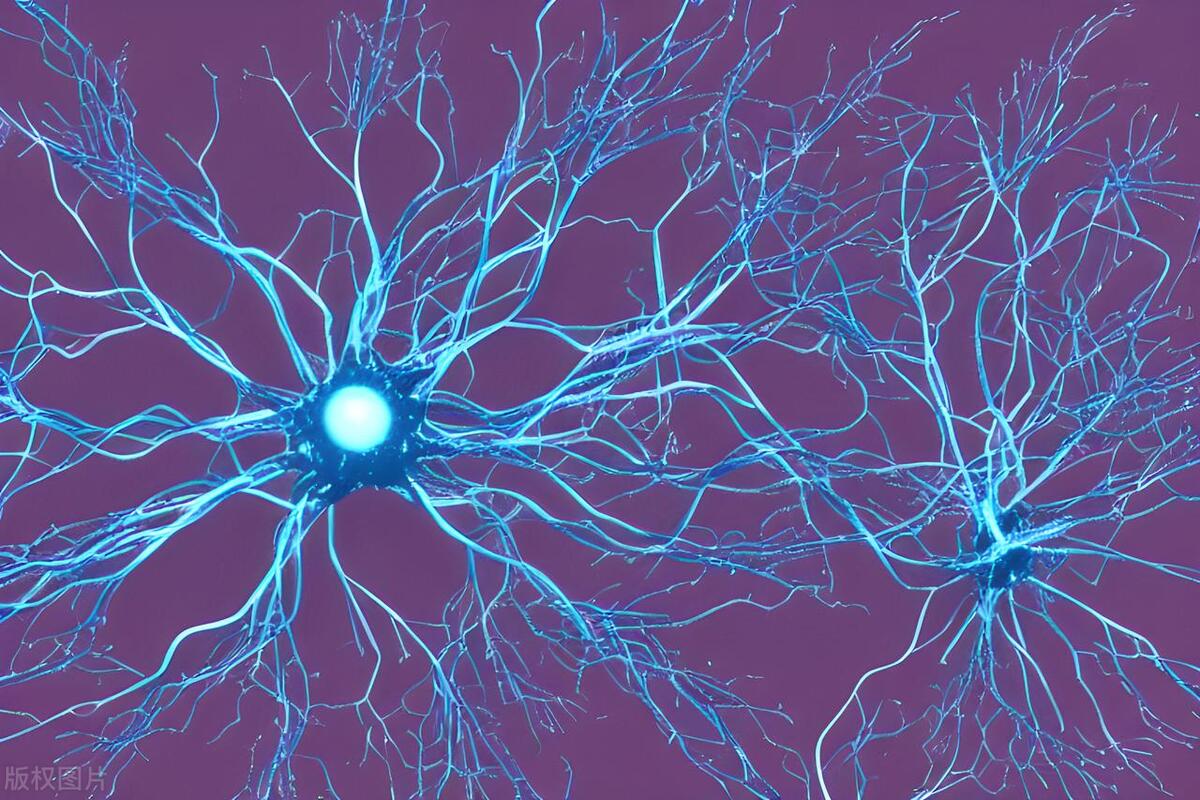 How big is the brain's capacity? - iNEWS