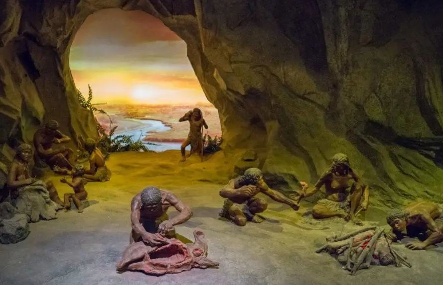 When did humans first use fire? - iNEWS