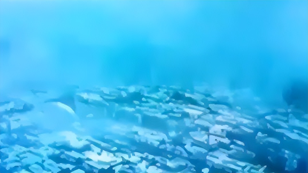 A man claims to have traveled to 5000 AD and has photographic evidence ...