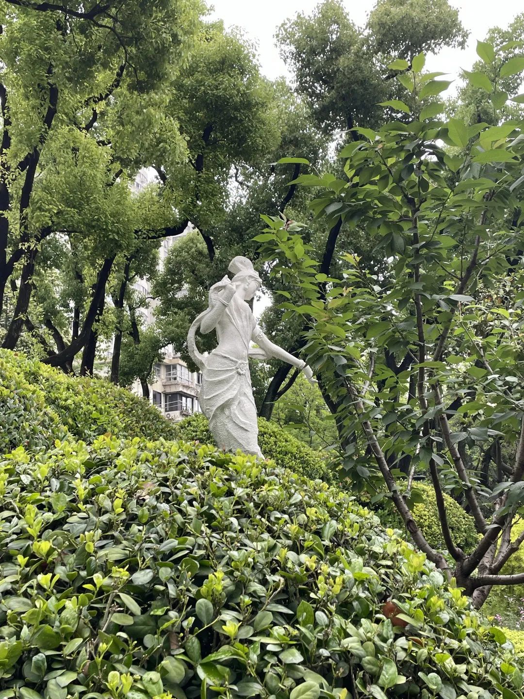 Beauty becomes poetry! The "early summer green" on the streets of Xuhui ...
