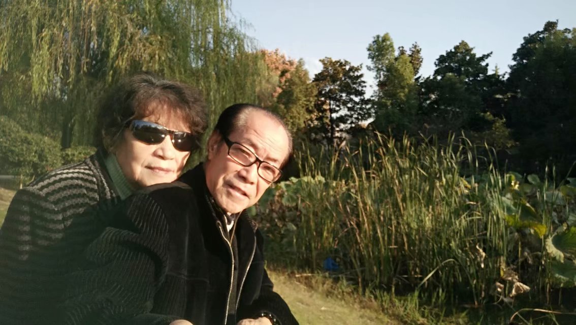 The story of a diamond marriage - iNEWS