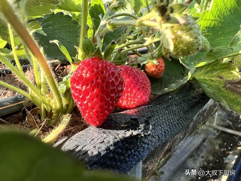 Delicious and healthy! Uncle teaches you strawberry jam, sweet and ...