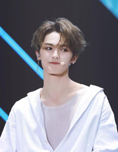 Comparing the looks of 18 pairs of celebrity fathers and sons, Hu Ge ...