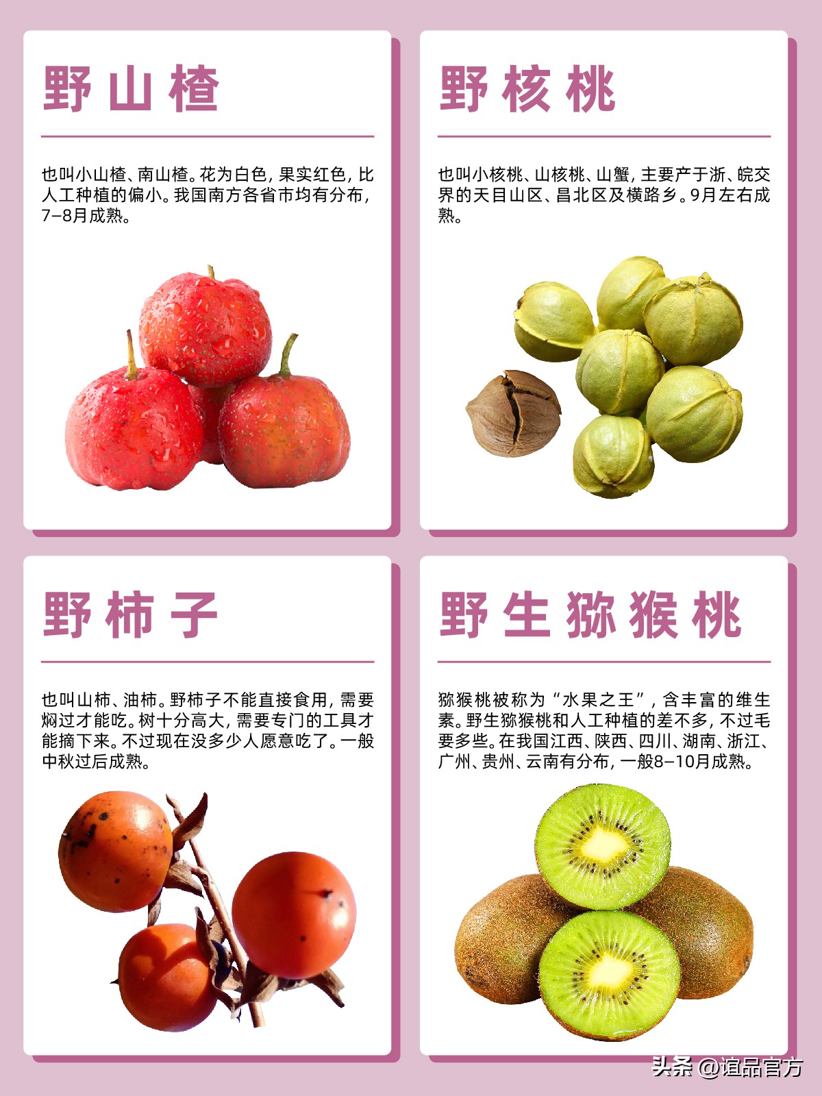 The name and taste of common wild fruit - iMedia