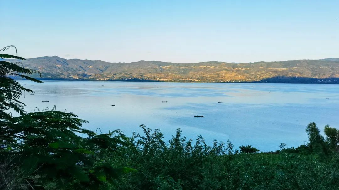 Cheng Hai is a night dream - iNEWS