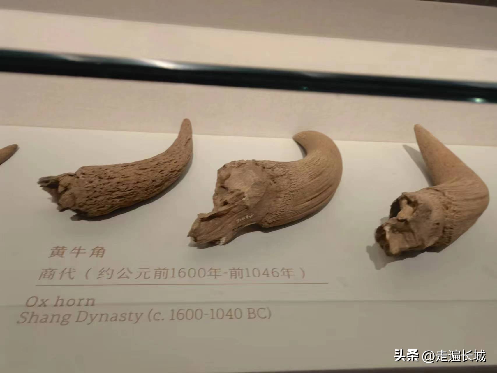 Large-scale human geography documentary "Traveling the Great Wall ...