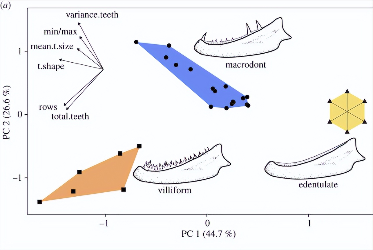Deliciousness begins with teeth! Learn more about the different ...