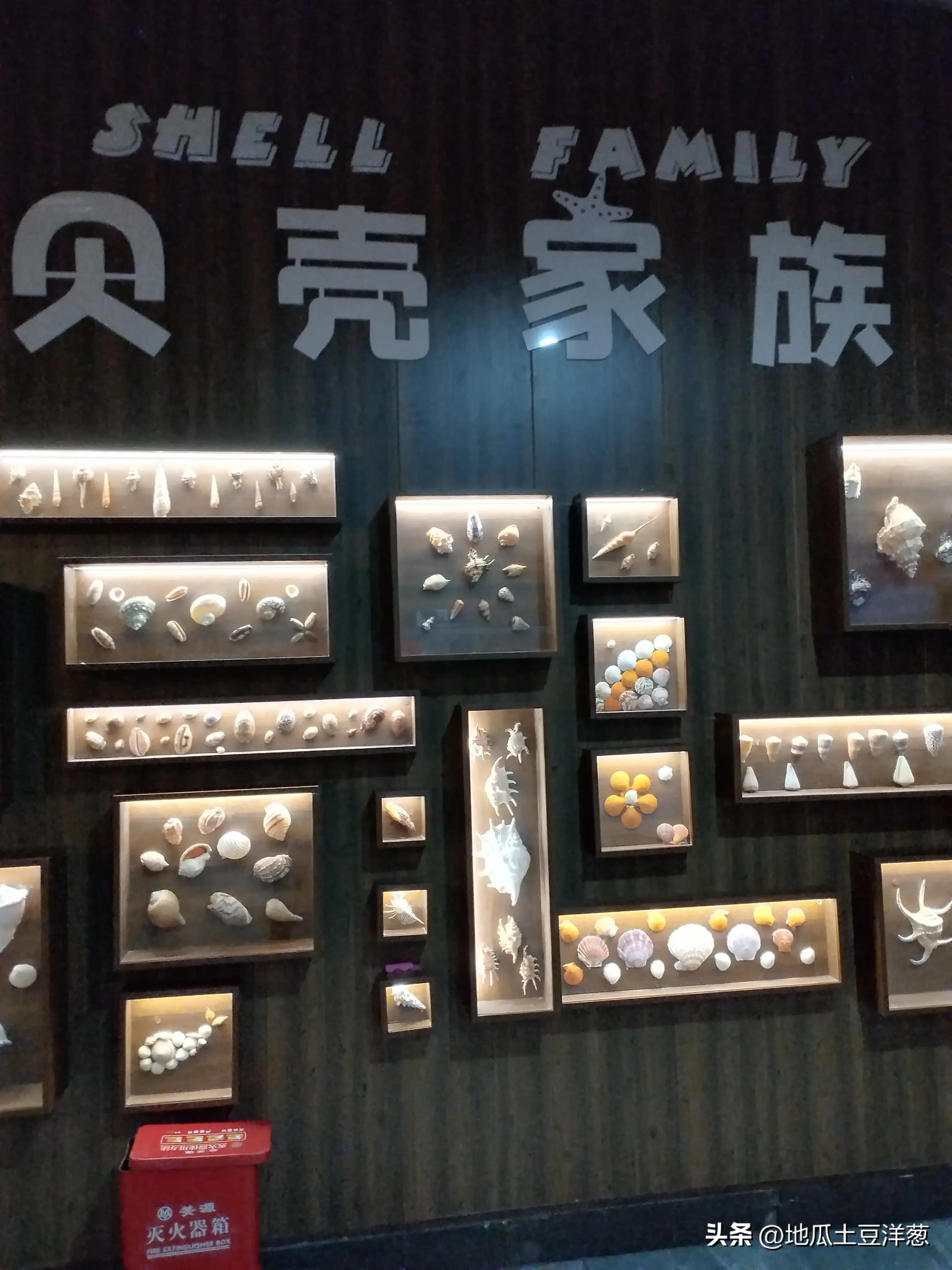 Qinyuan Spring·Five Sacred Mountains - iNEWS