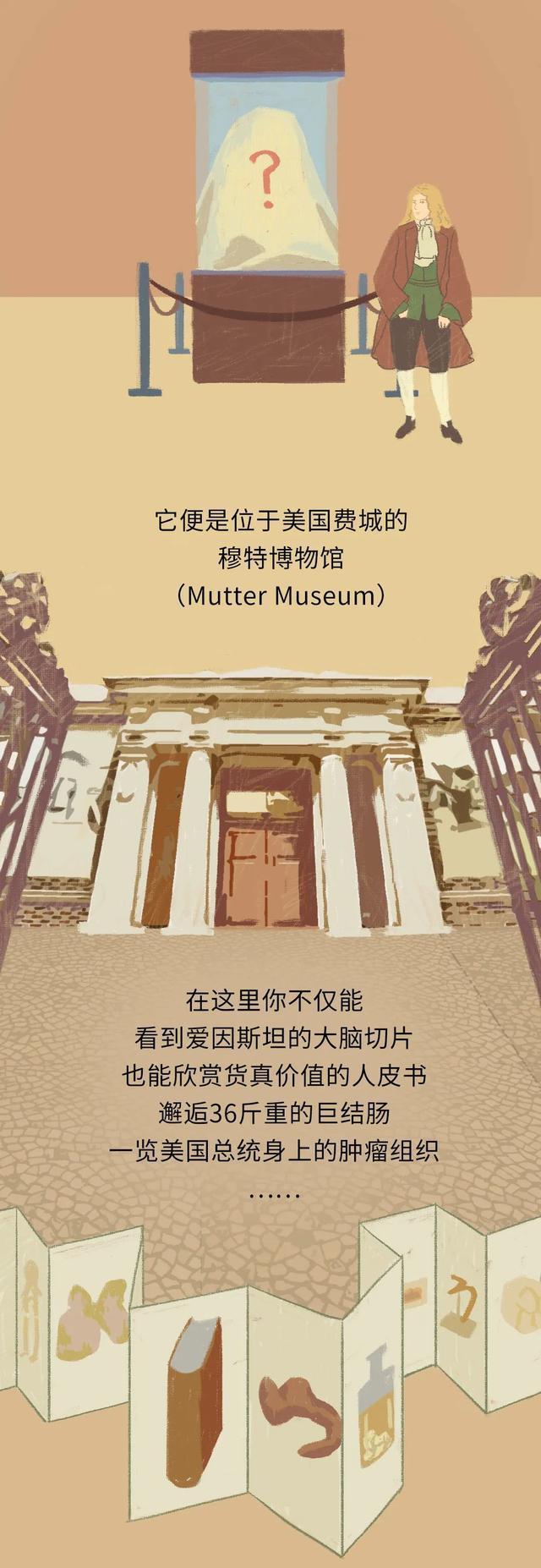 "Heavy Taste Human Body Museum" various illustrations, be timid ...