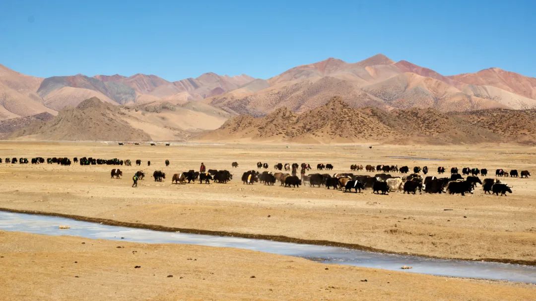 Tibet, City of the Sky, Lhasa - iMedia