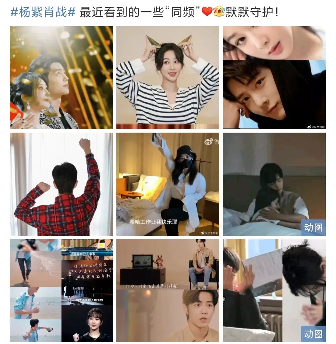 Xiao Zhan Yang Zi, Bai Jingting, Wang Xiaofei, Bai Lu, Shen Yue - iMedia