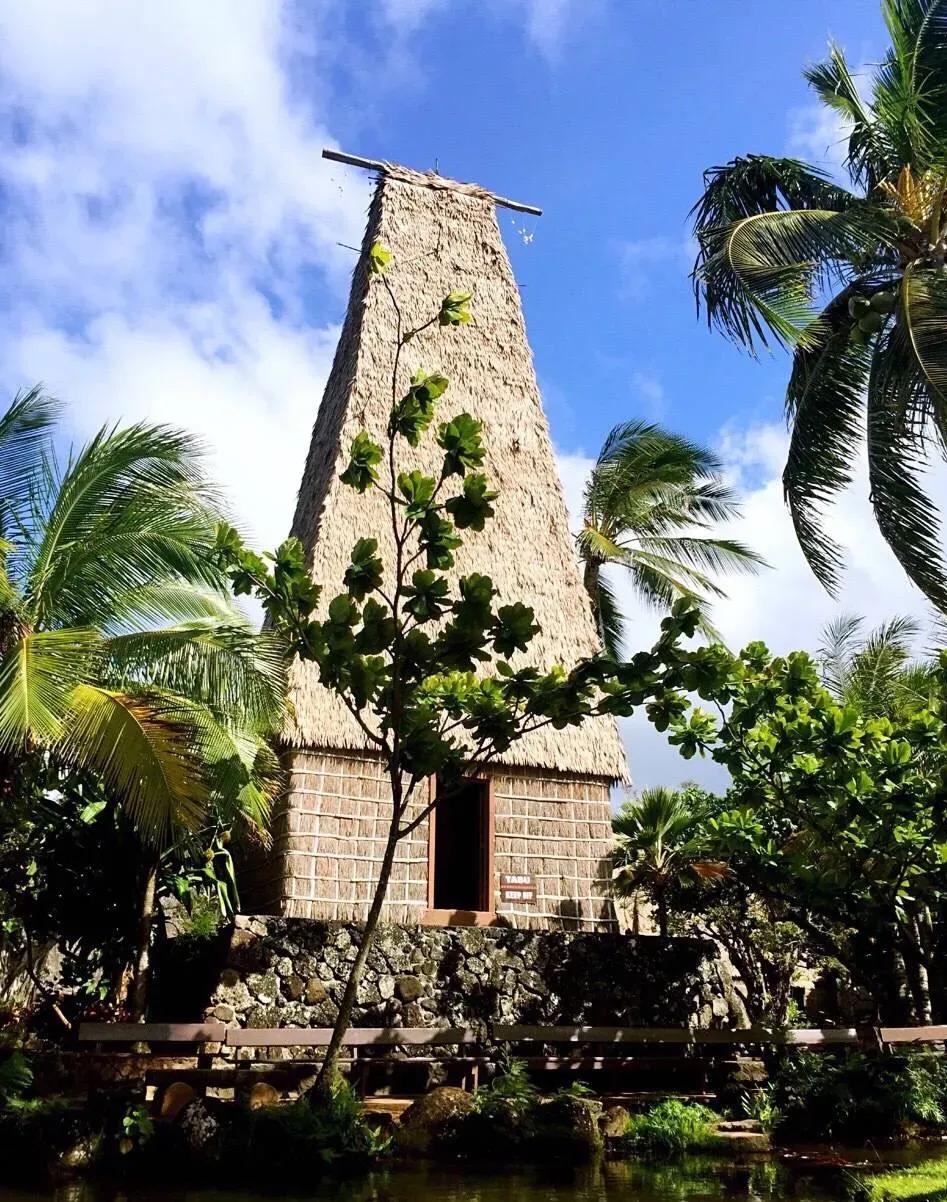 In "The Truman Show", the real world outside - Fiji, what is the ...