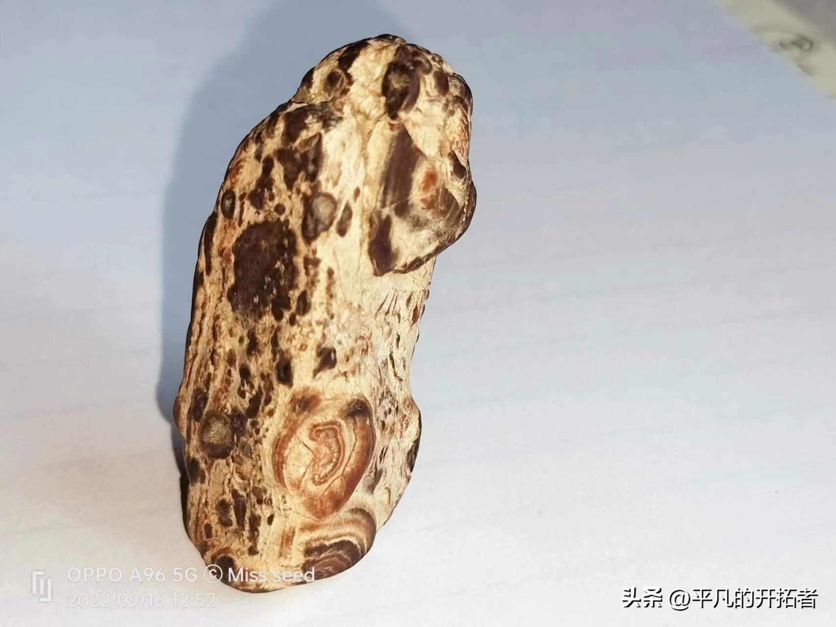 Prose - Stone Axe, Call of the Ancients - iNEWS