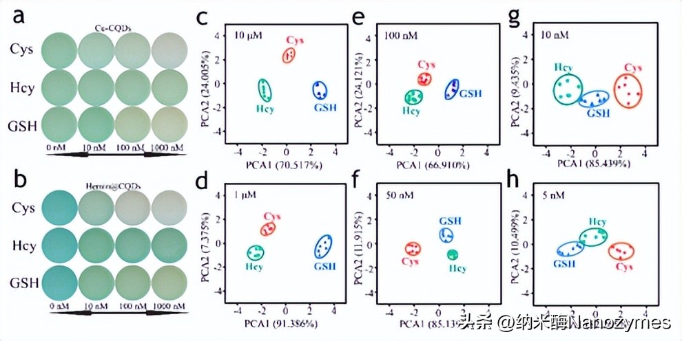 Nanozyme Colorimetric Array Sensor for Biothiol Detection and Disease ...