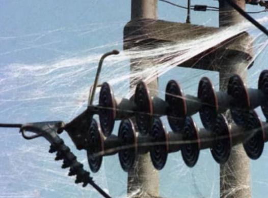 In 2021, China's new weapon "graphite bomb", one will paralyze the ...