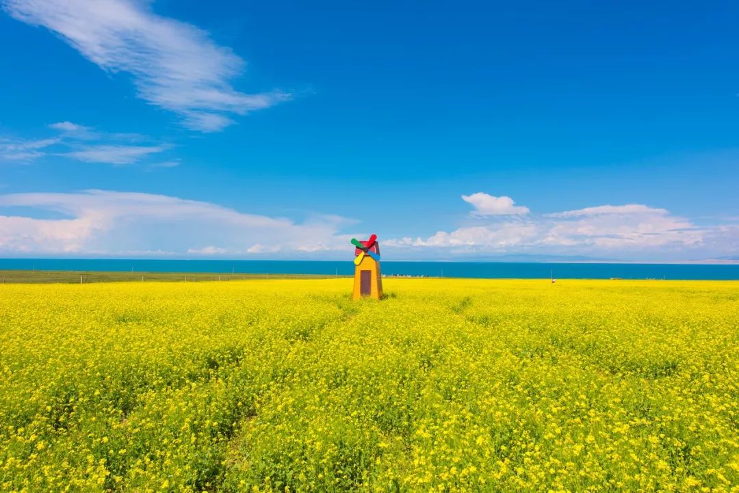 Worry is the number one killer of human health! - iNEWS