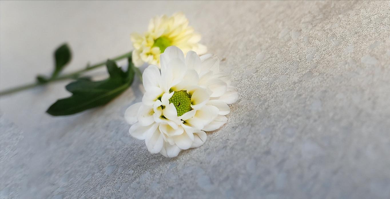 Bad news! Well-known director Zhou Guodong passed away due to illness ...