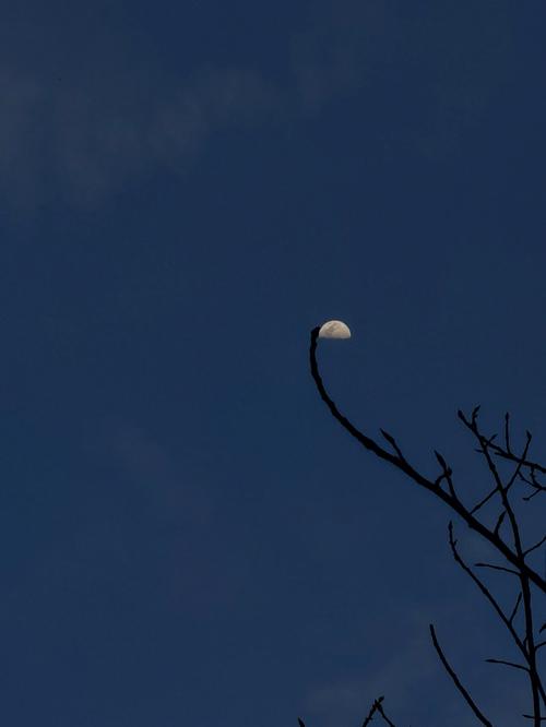 why the moon has different shapes - iMedia