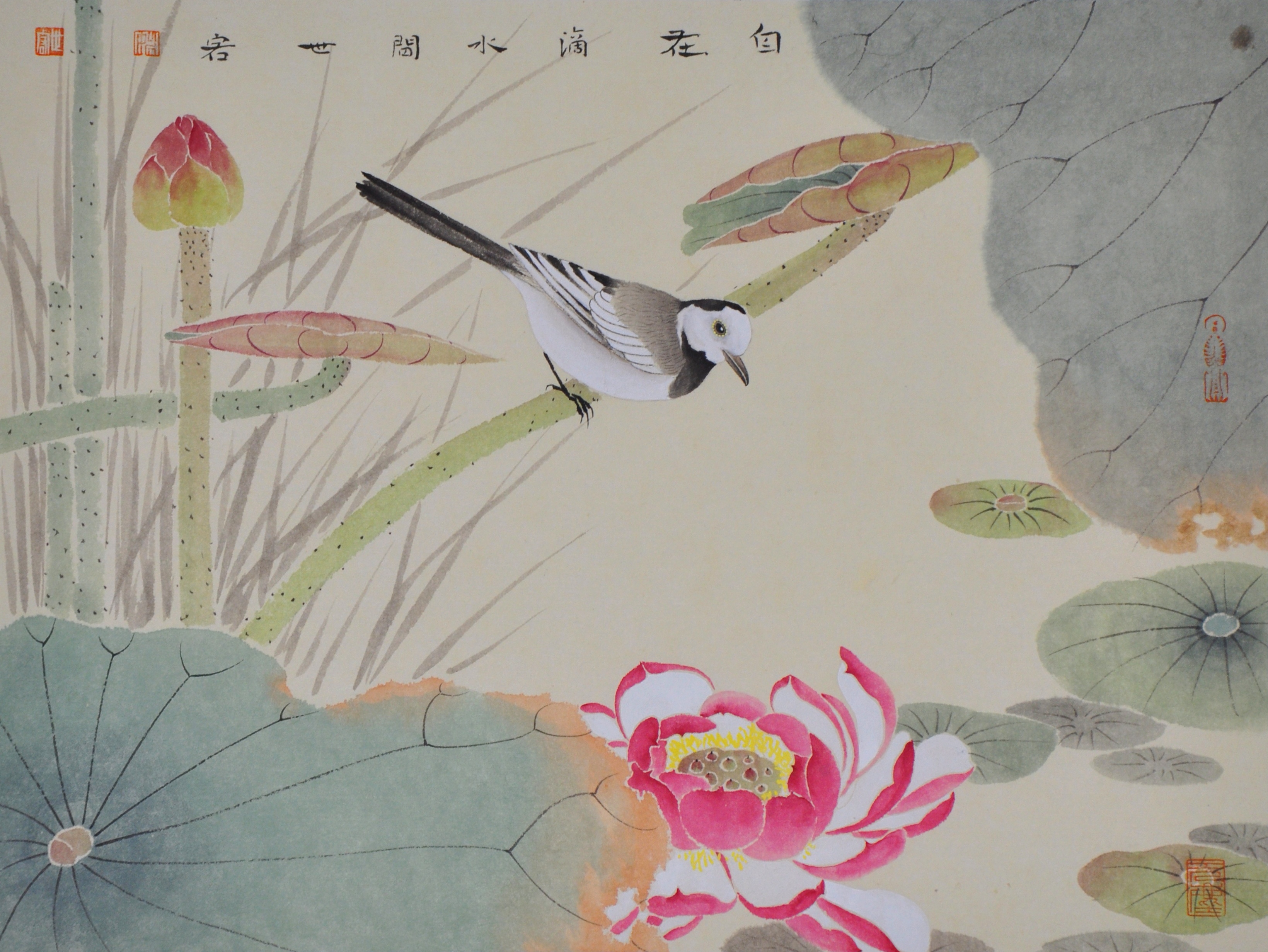 Online exclusive contract artist Yao Shihong - iNEWS