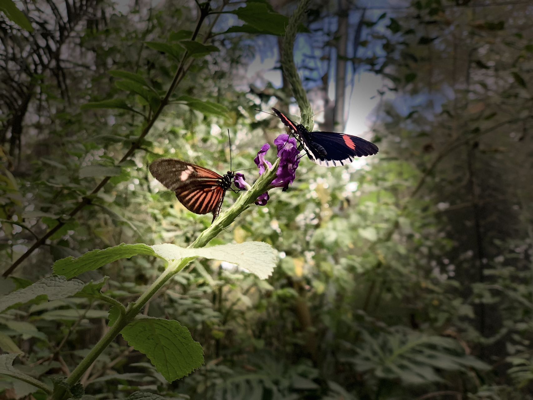 Don't punish yourself with other people's mistakes - iNEWS