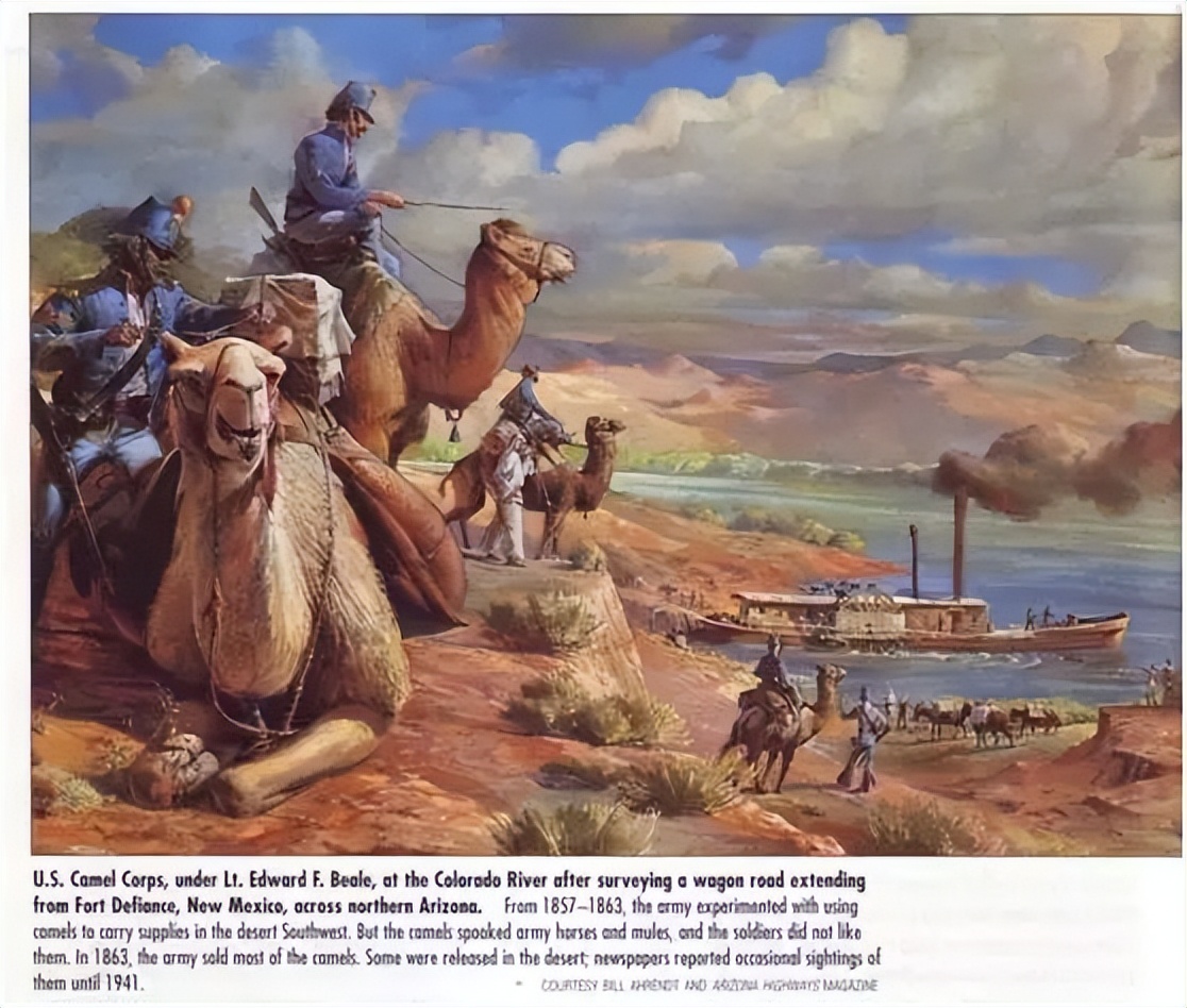 Revisiting the Battle of the Camels: In Search of a Conflict of History ...