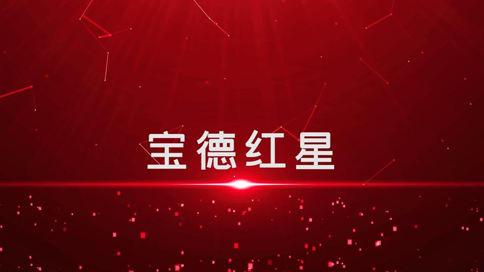 "Baode Red Star" enterprise-level general-purpose operating system ...