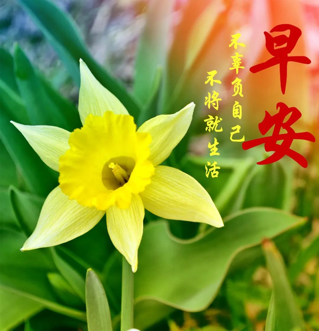 Two pictures of the Ruihe River in Heshuguo - iNEWS