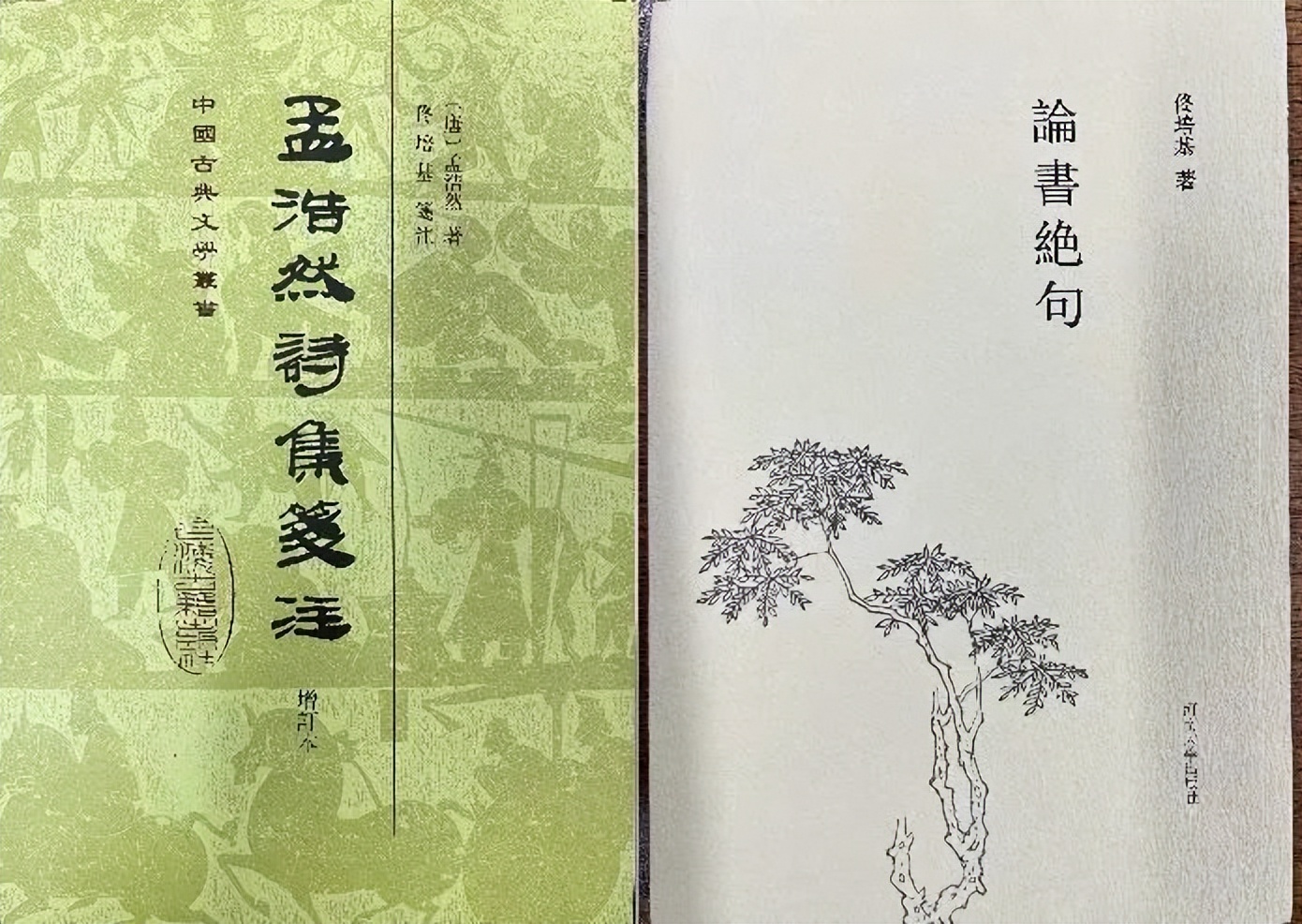 Wang Liqun: Deeply cherish the memory of a scholar with literati ...