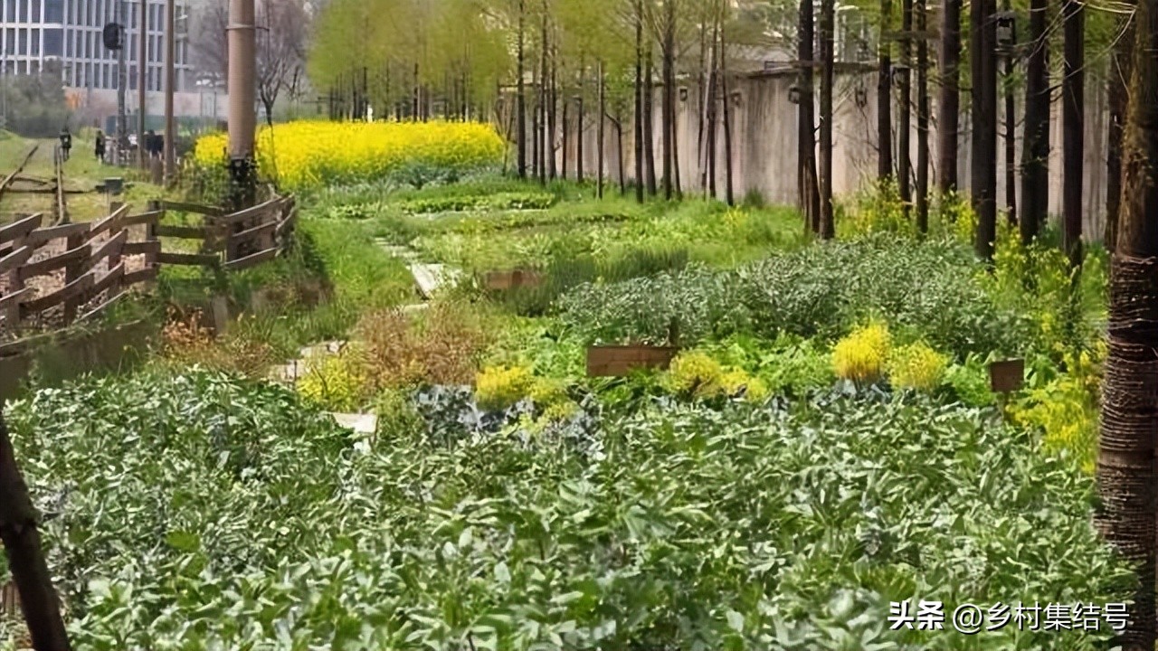 A food garden that achieves rural life, and those who do leisure ...