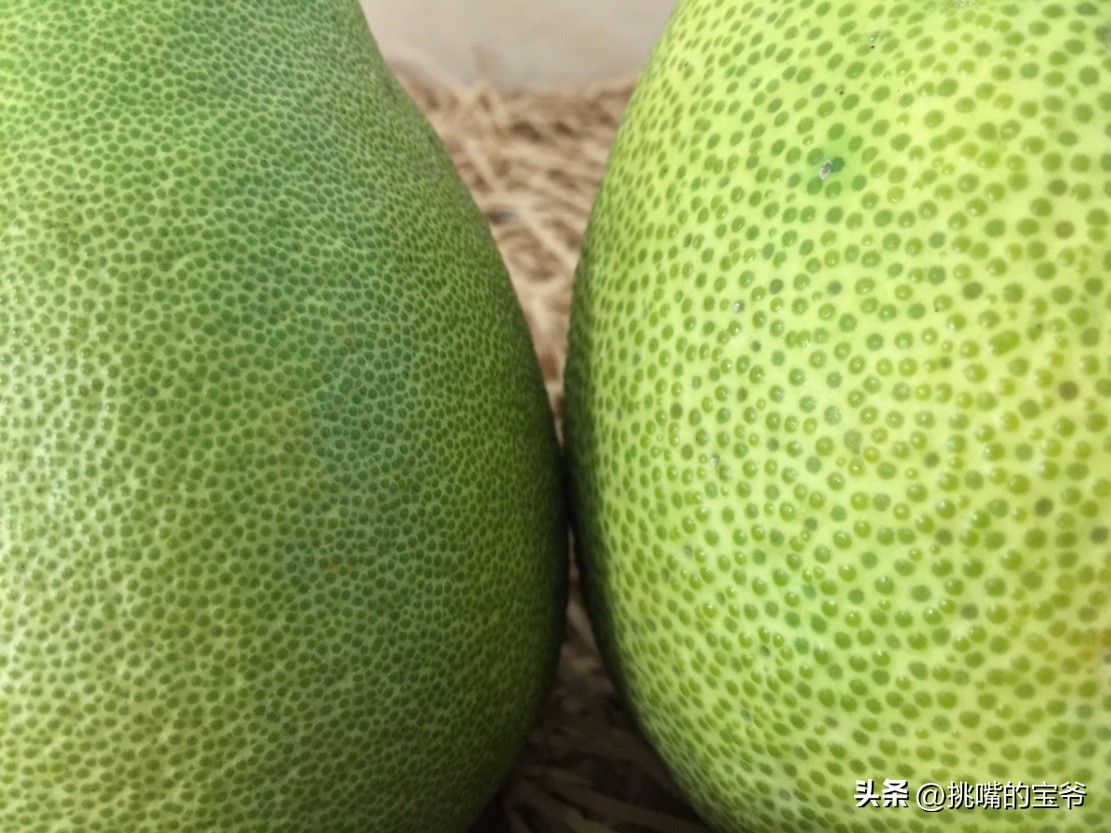 What is the difference between the new tree pomelo and the old tree ...
