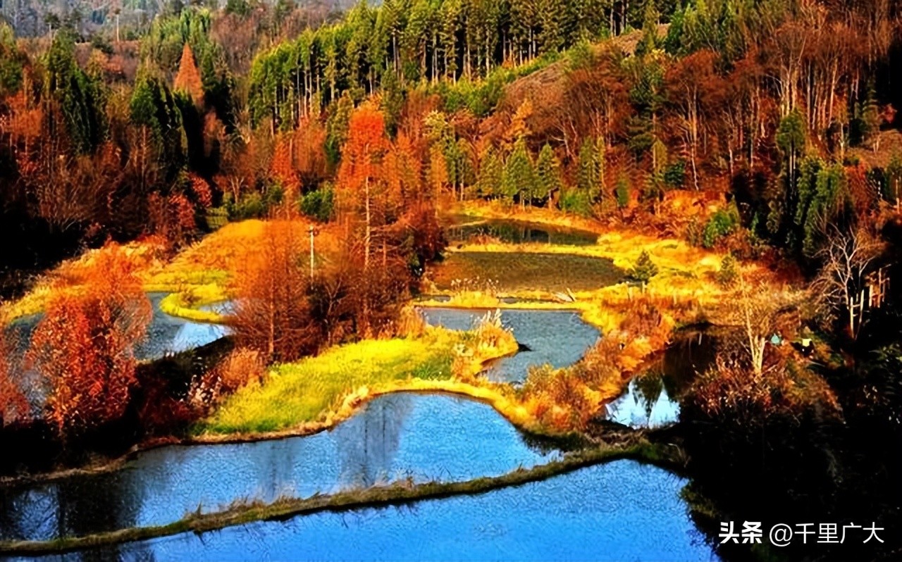 Go to these places to experience autumn in Chongqing - iNEWS