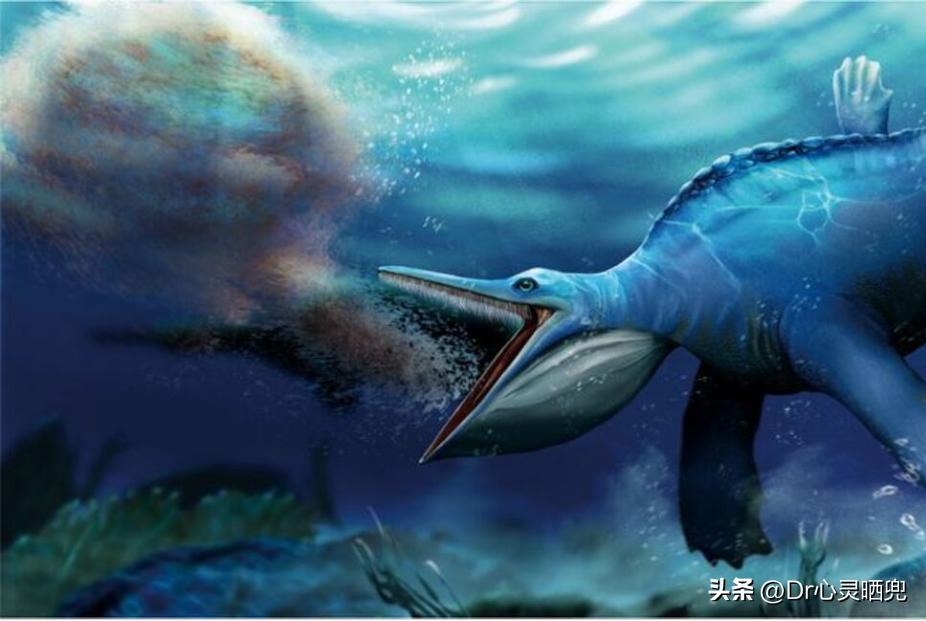 Long before whales, pioneers of marine reptiles were filter feeders - iNEWS