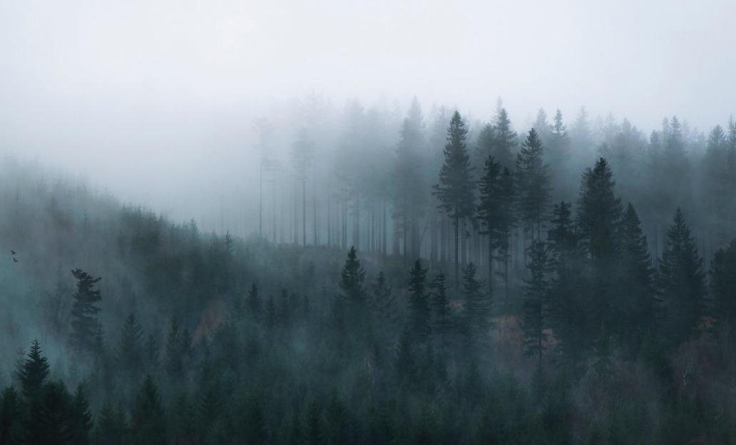 Mysteries of the Mist: Things You Didn't Know - iNEWS
