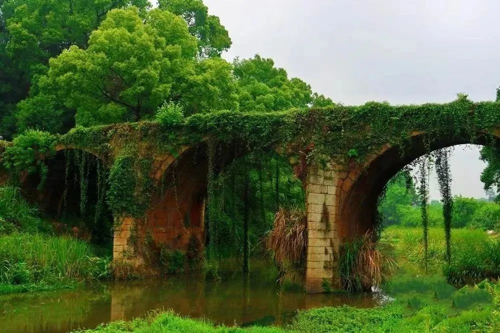 The Poet's Lian Chan Women's Bridge——With this colorful stone, the ...