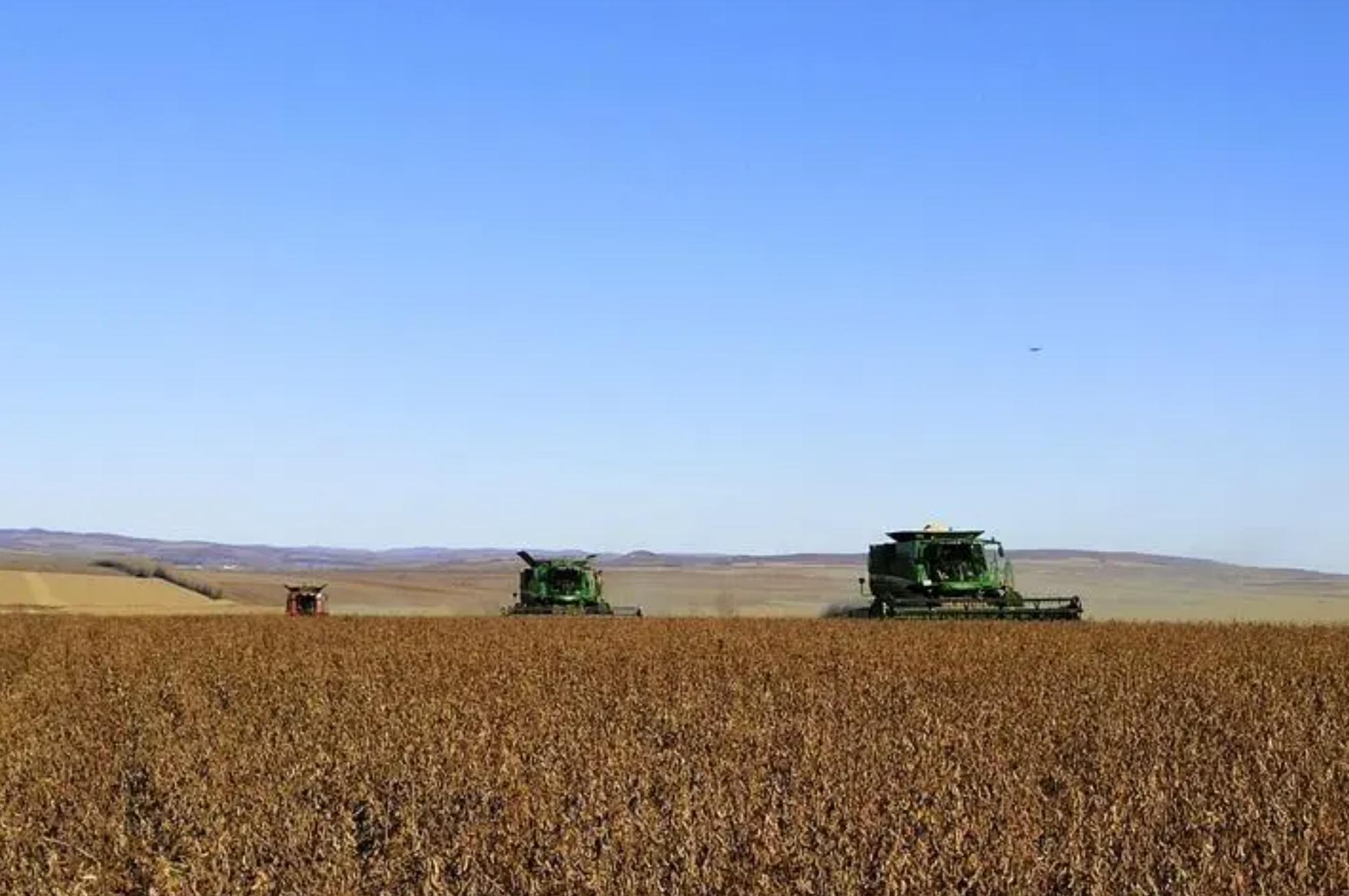 Ukraine is in a cocoon, and the "European granary" has become the ...