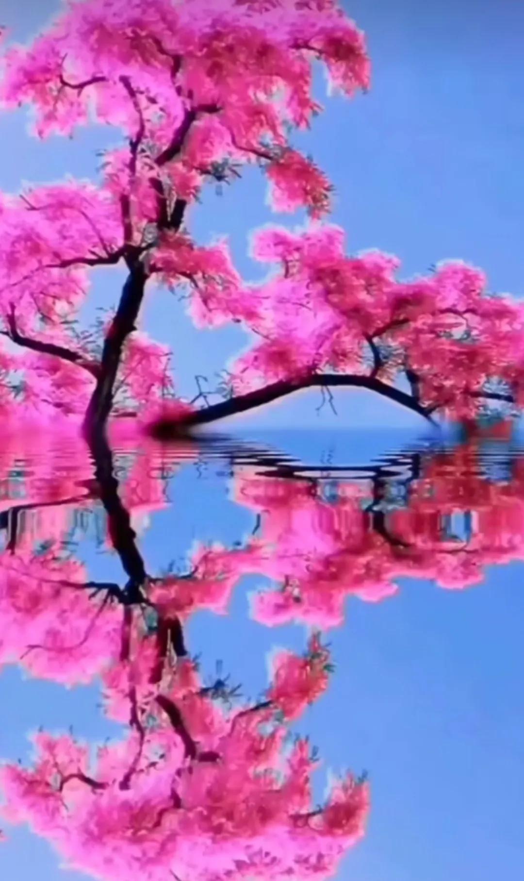 Seven Absolutes / Moon Bend - iNEWS