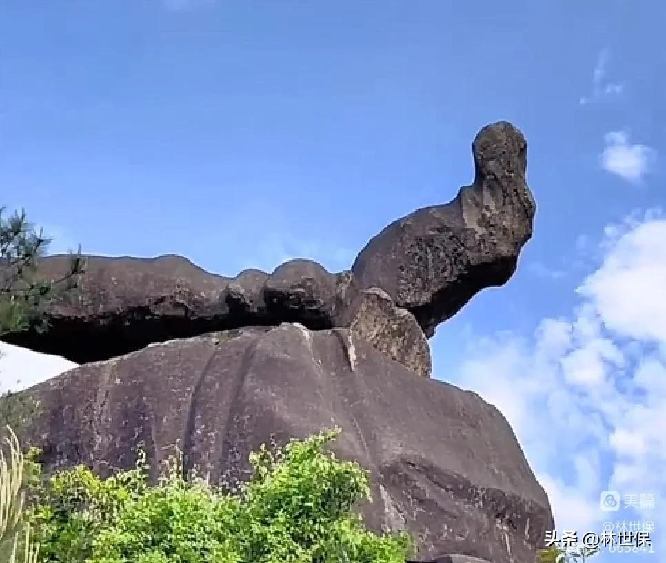 Wulu·Fuding Stork Mountain - iNEWS