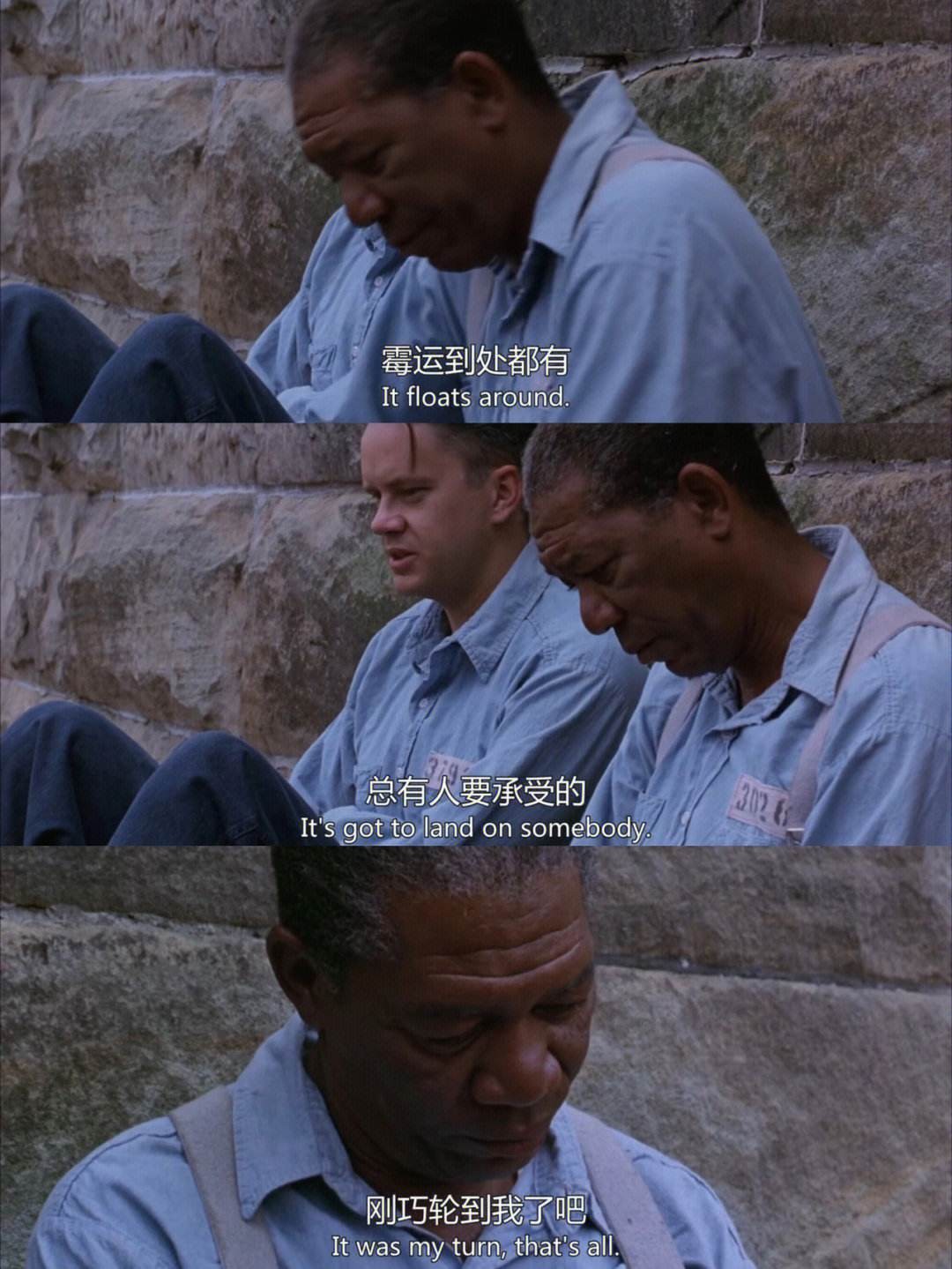The acting skills of the leading actors in "The Shawshank Redemption ...
